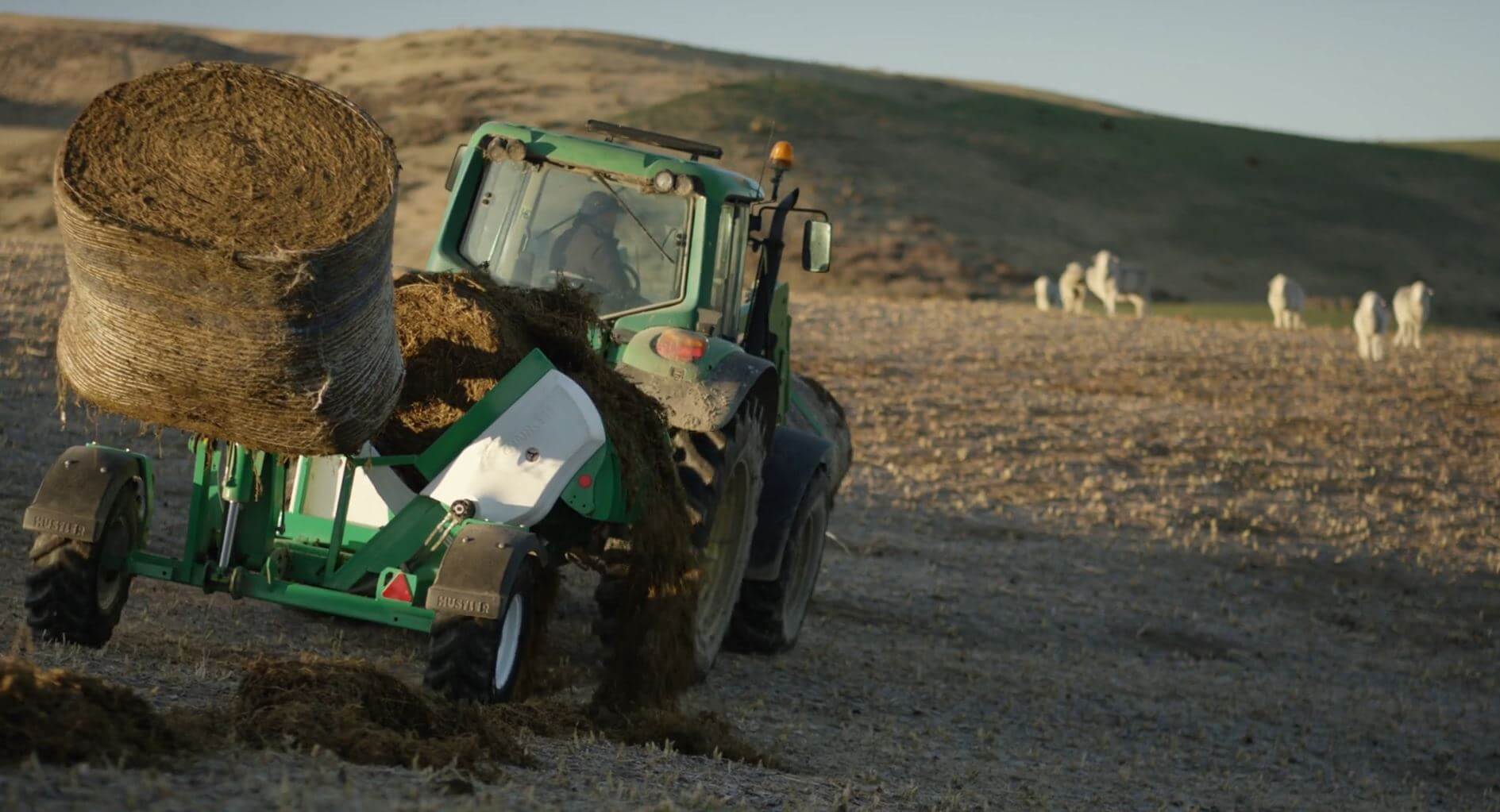 New Zealand superfine merino wool operation significantly improved ...